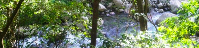 The Sacred Garden of Edenhope: Tasmate, Santo, Vanuatu – Tribal Convergence