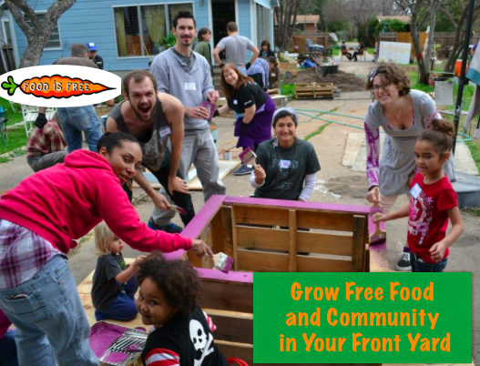 Village Infrastructure Guild: The "Food-is-Free Project" Transforms ...